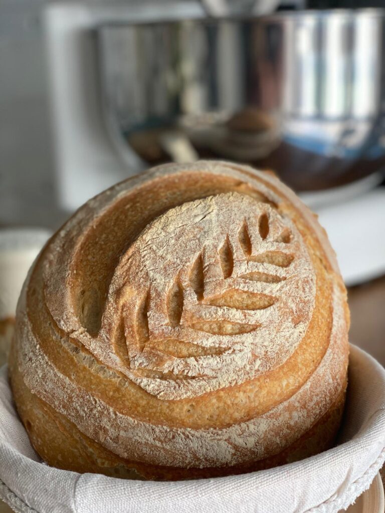 Pane alla birra - Romana Bacarelli Food Blogger | Shop Online